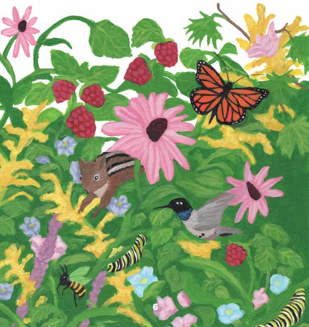 Maple's Garden Brings the Charter to Life for Young Readers - Canadian ...