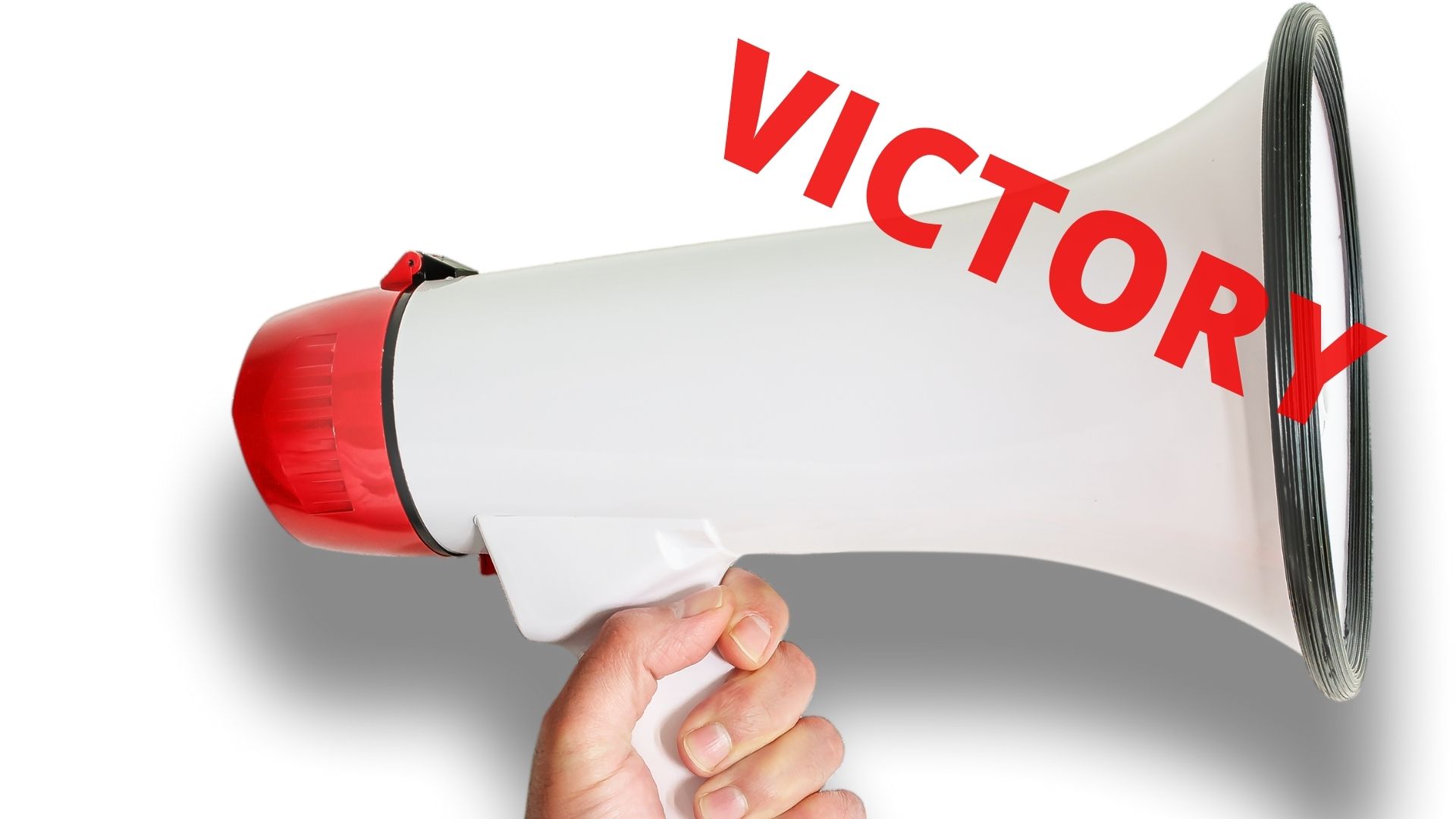 Freedom of Expression: Fleming v. Ontario - Canadian Constitution ...